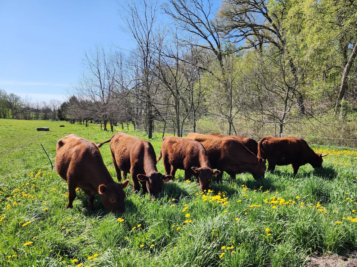 Curated Favorites Meat Box – Sparrow Hill Farm